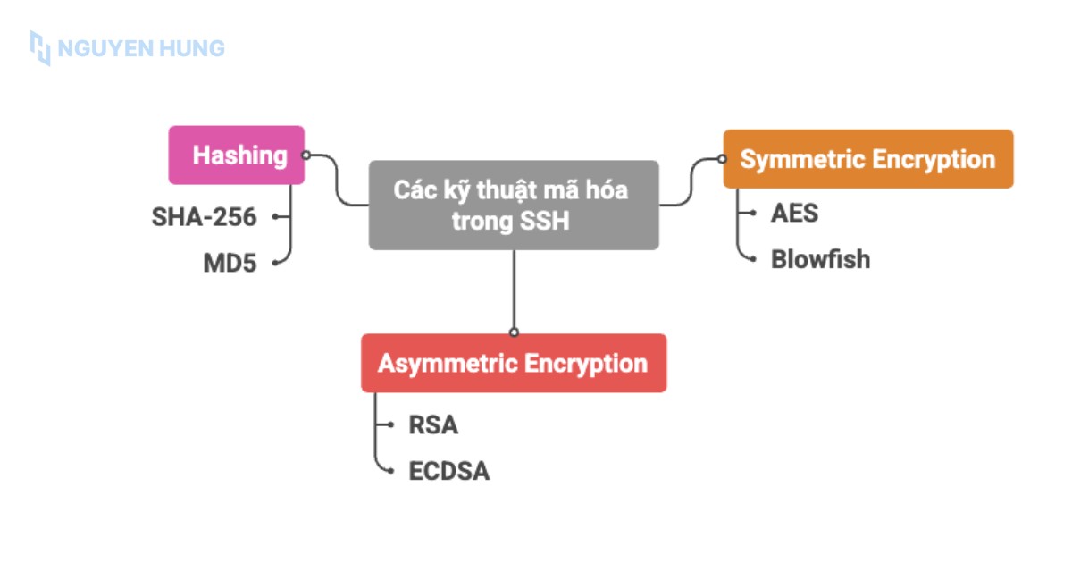 SSH là gì? Hướng dẫn sử dụng giao thức SSH từ A đến Z